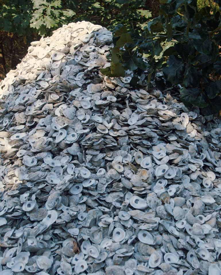 Oyster Shellabration – Jetty