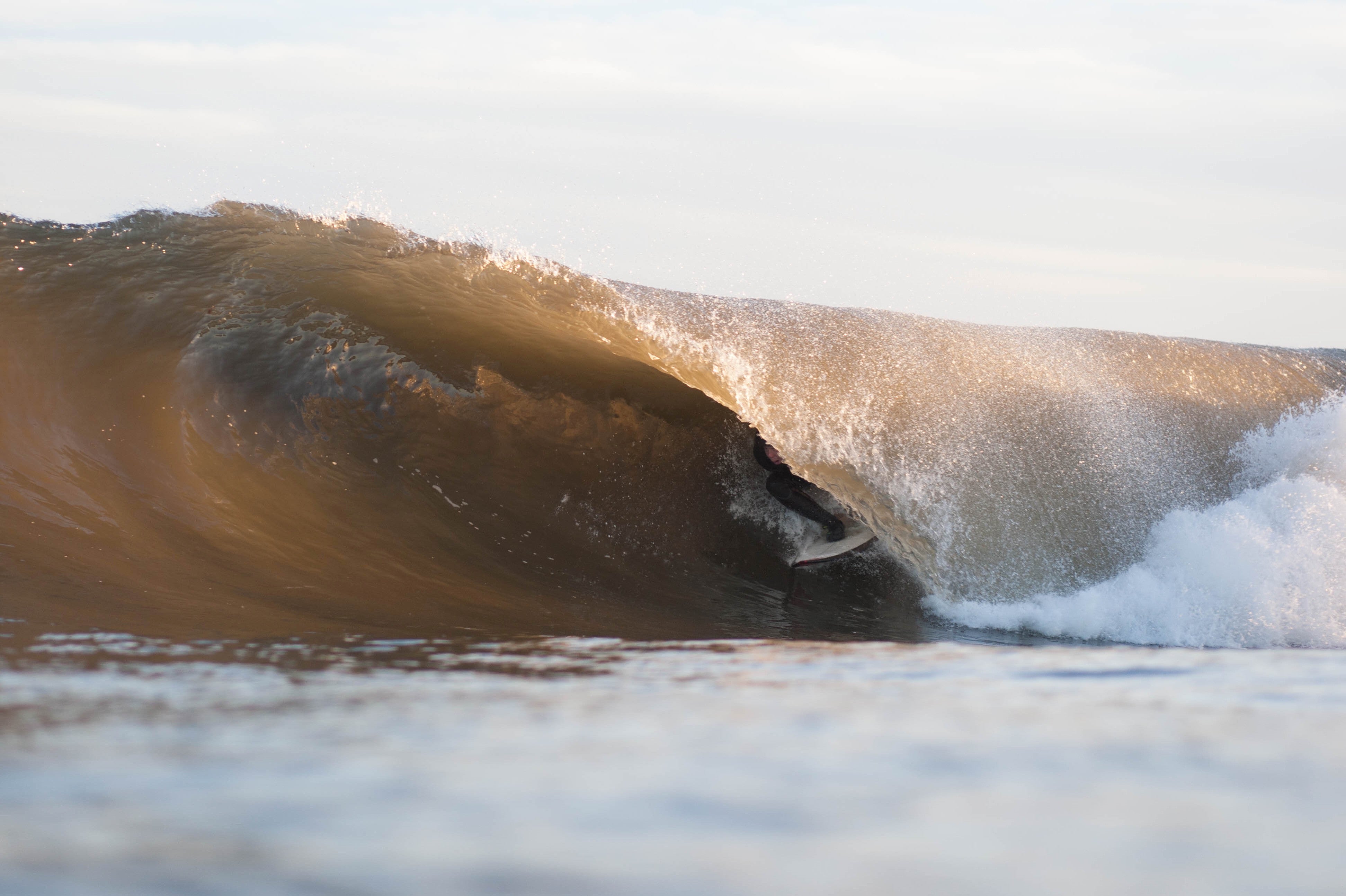 (ap)PARENT(l)Y – Jetty