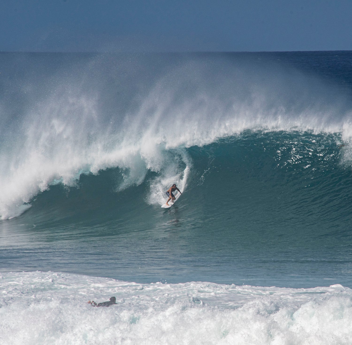 Welcome Rob Kelly! – Jetty