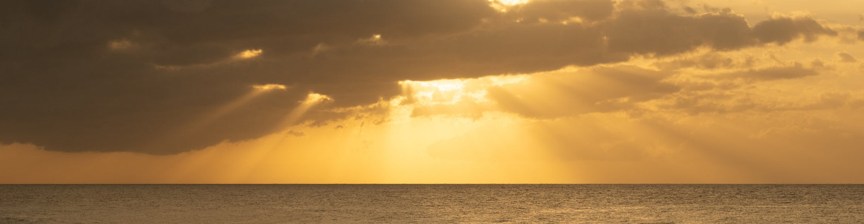 Jetty - Draw Your Own Line®